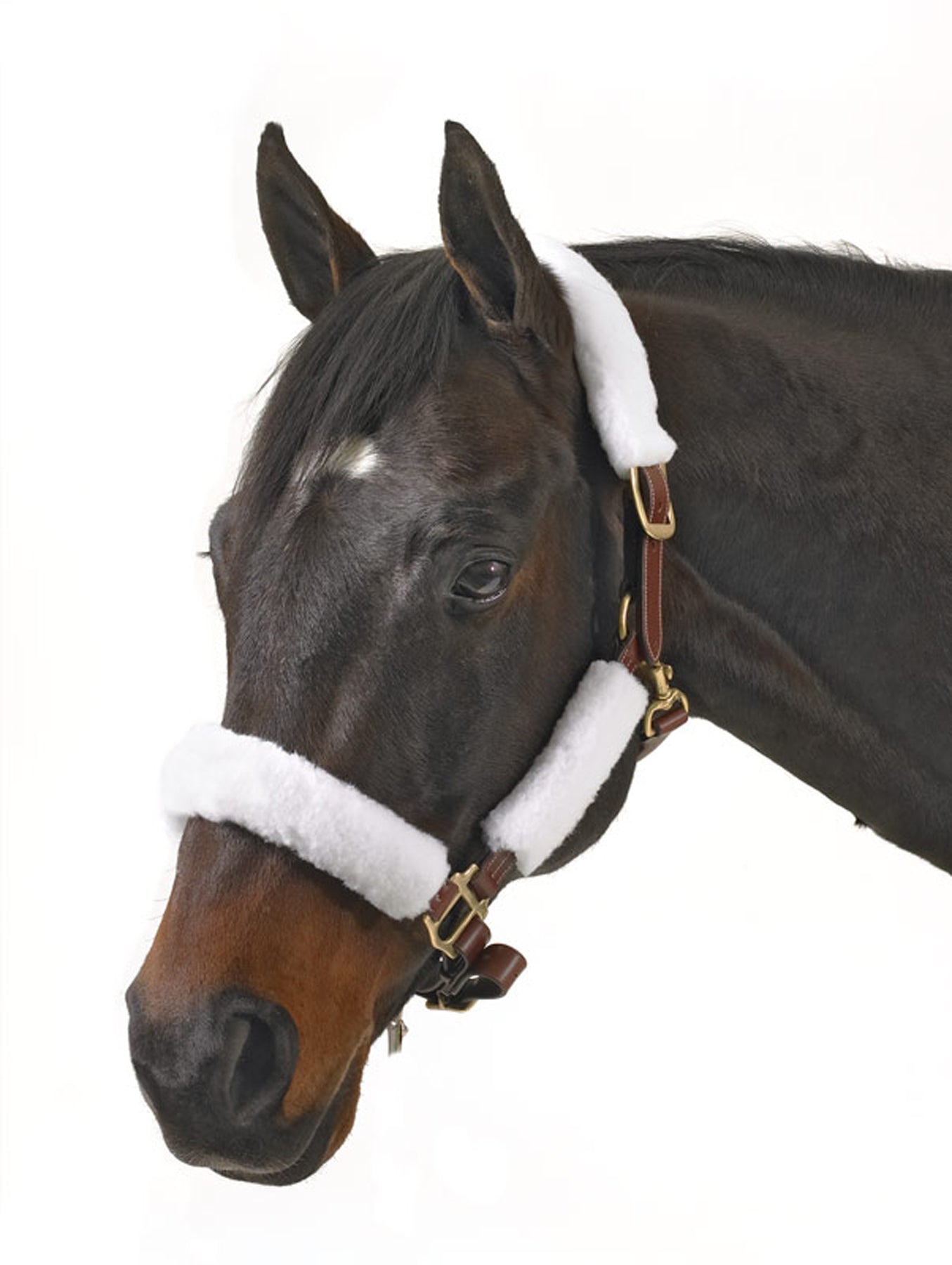 Centaur® Synthetic Fleece 4 Piece Halter Tube Kit – English Riding Supply